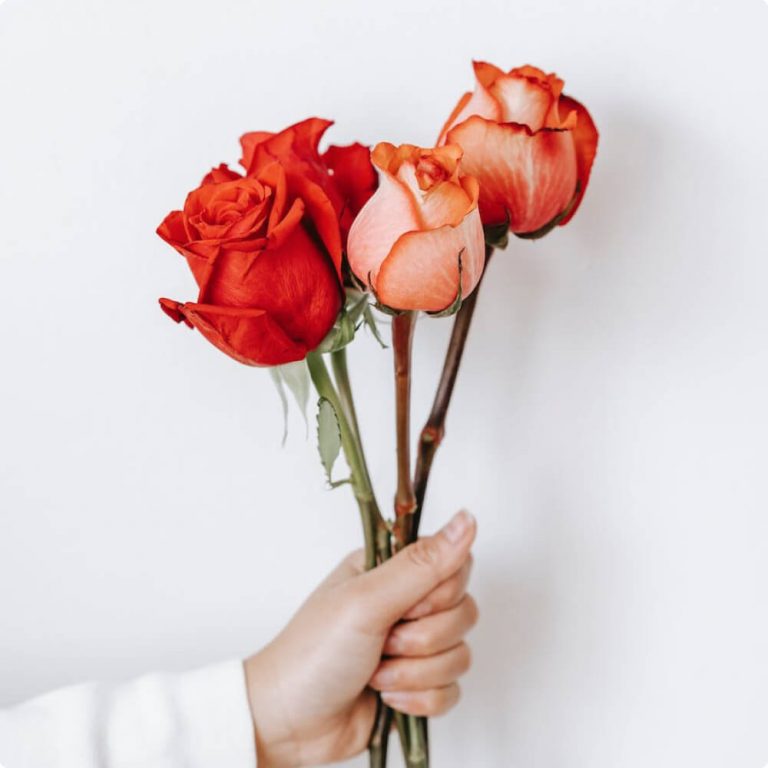 Medding – The Muslim Wedding Specialist – The Muslim Wedding Specialist